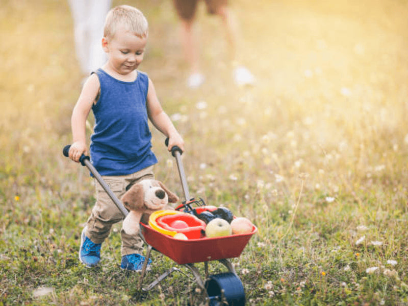 12 Activities Where Children Can Use Maximum Effort - The Montessori Room