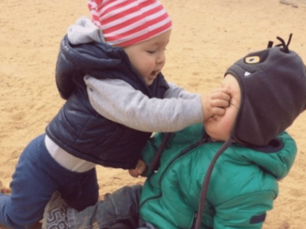 4 Strategies To Stop Physically Aggressive Behaviours - Hitting, Shovi ...