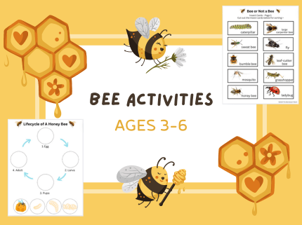 Bee Activities: 3 - 6 Years - The Montessori Room