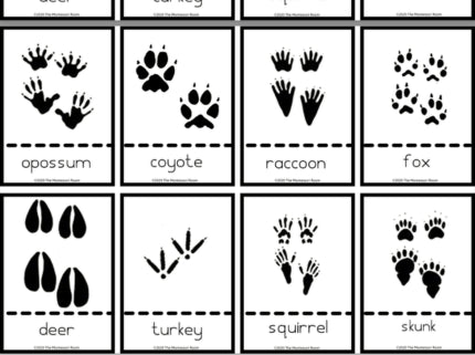[FREE DOWNLOAD] Animal Track Matching - The Montessori Room