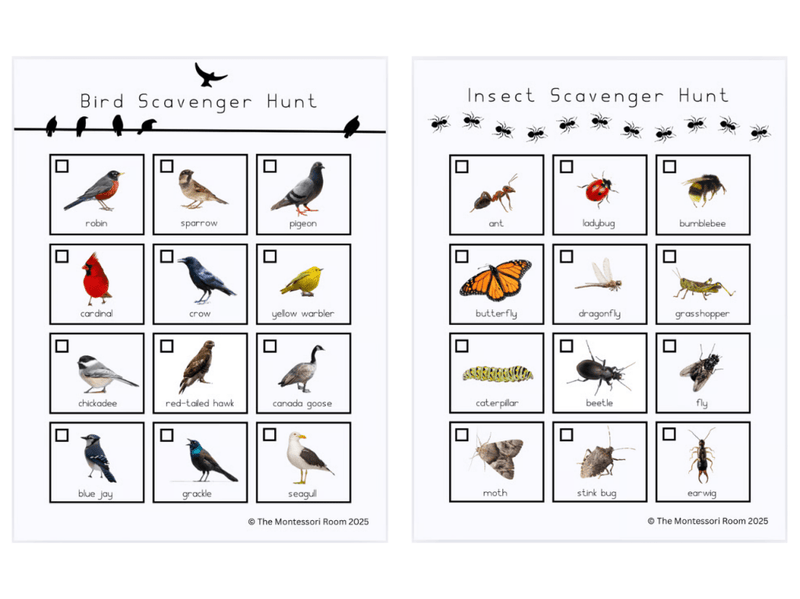 Insect and Bird Scavenger Hunt Printables - The Montessori Room