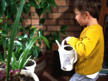 List of Child-Friendly Plants + Plant Care Sequencing Cards - The ...