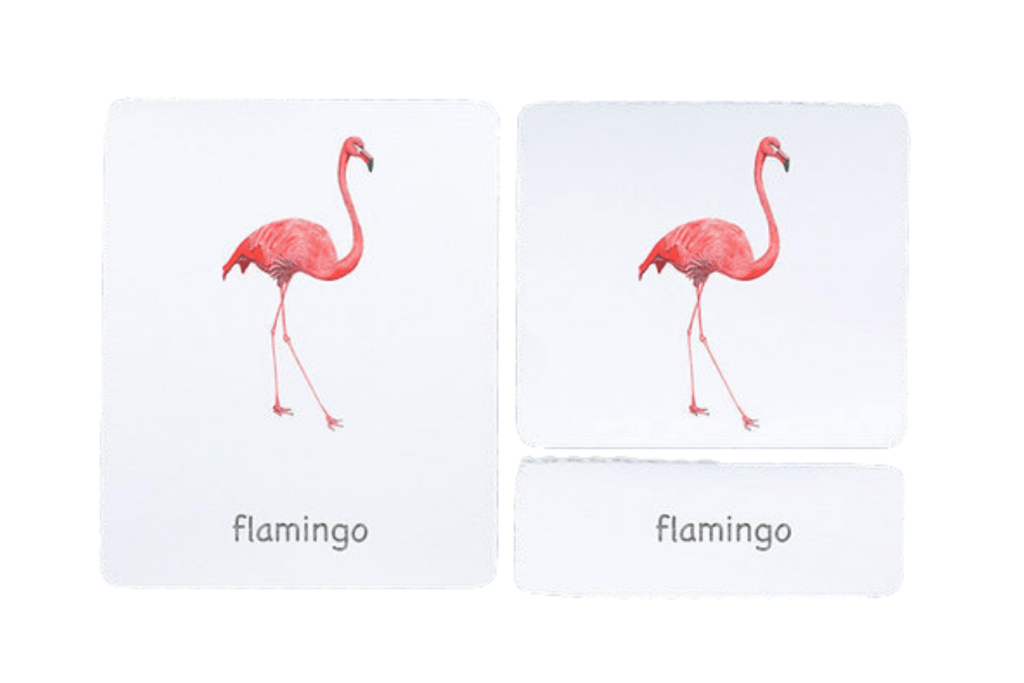 3-Part Language Cards (Watercolour) I Montessori Materials Canada - The ...