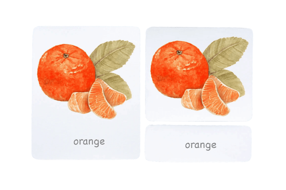 3-Part Language Cards (Watercolour) I Montessori Materials Canada - The ...