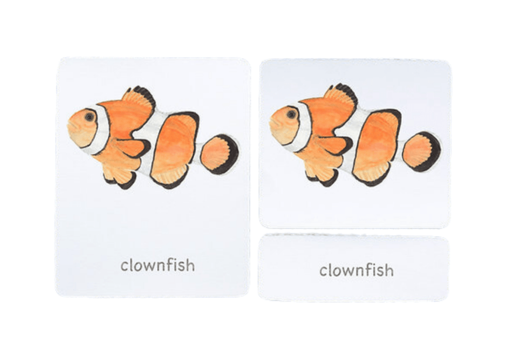 3-Part Language Cards (Watercolour) I Montessori Materials Canada - The ...