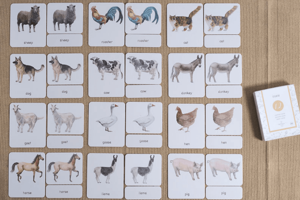 3-Part Language Cards (Watercolour) I Montessori Materials Canada - The ...