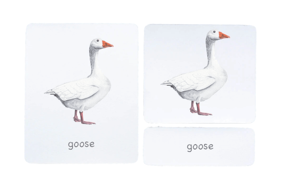 3-Part Language Cards (Watercolour) I Montessori Materials Canada - The ...