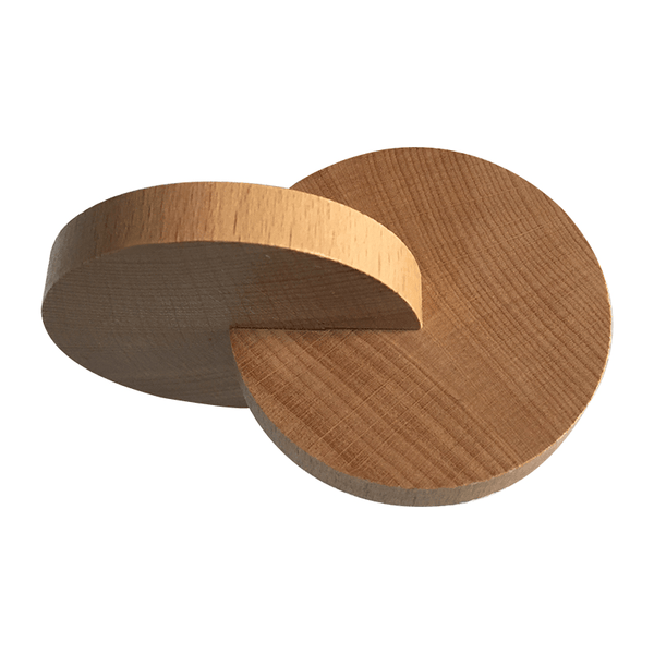 Interlocking Discs I The Montessori Room Toronto