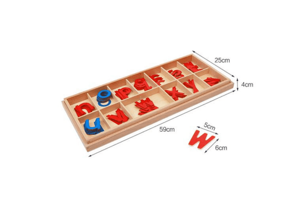 Large Wood Movable Alphabet (Print or Cursive) I The Montessori Room