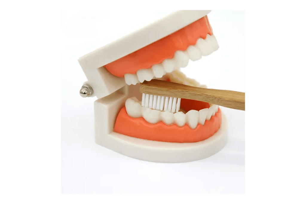 Brushing Teeth Activity Set I The Montessori Room
