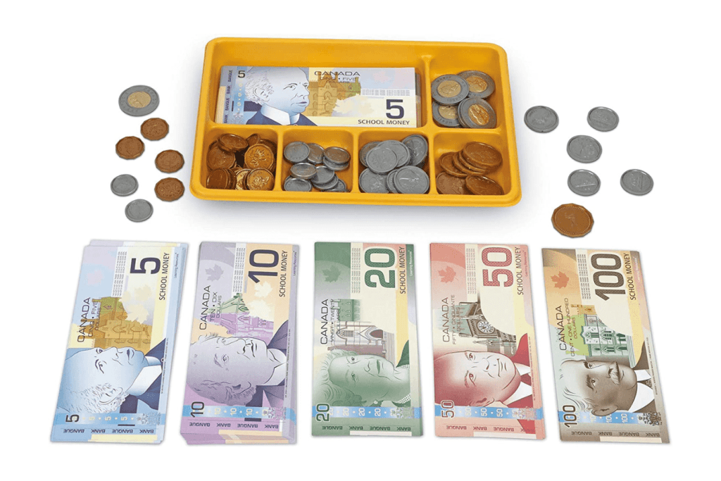 Learning Resources Canadian Currency Activity Set - The Montessori Room