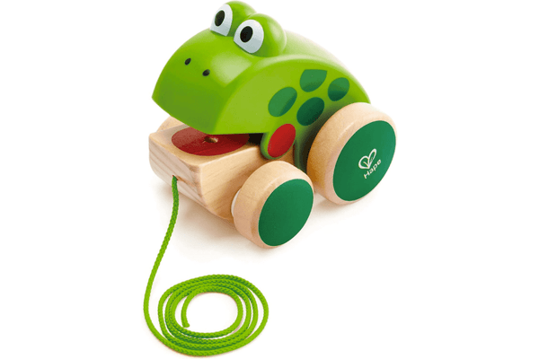 Hape Pull-Along Frog I The Montessori Room