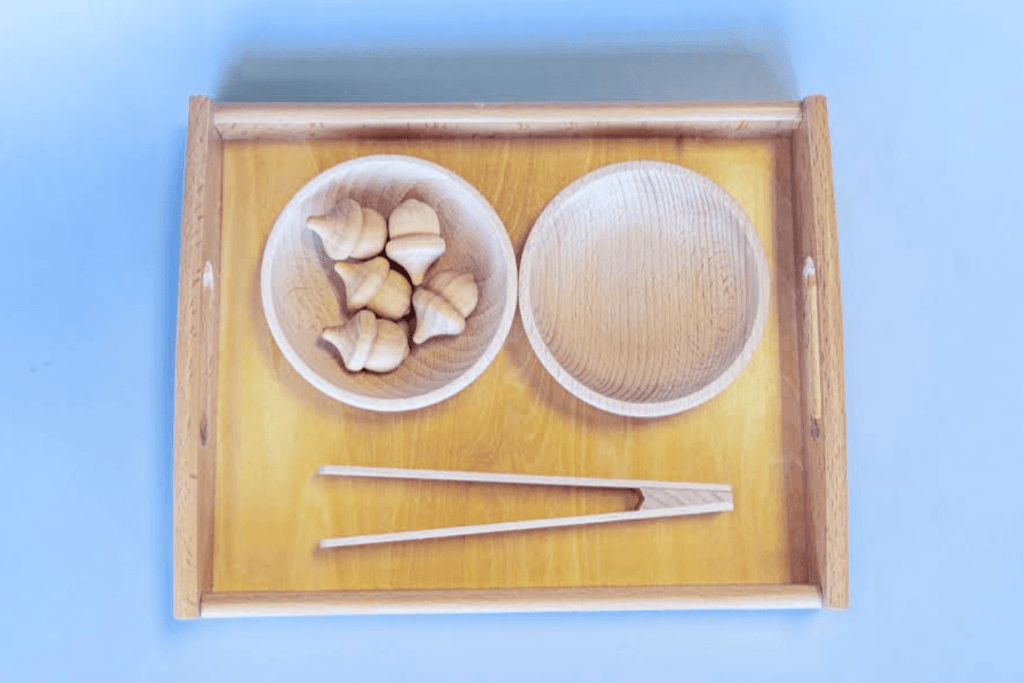 Montessori Tonging Activity - includes Tongs, Tray, Bowls and Wooden ...